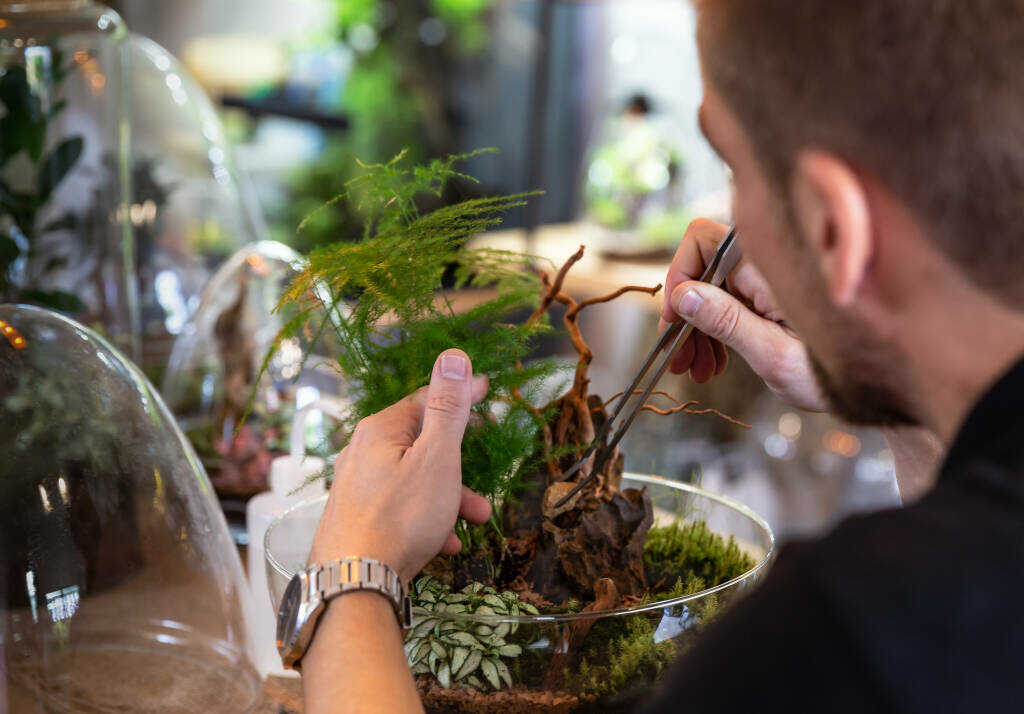 Green Atmosphère Créations Que faire quand il pleut dans le