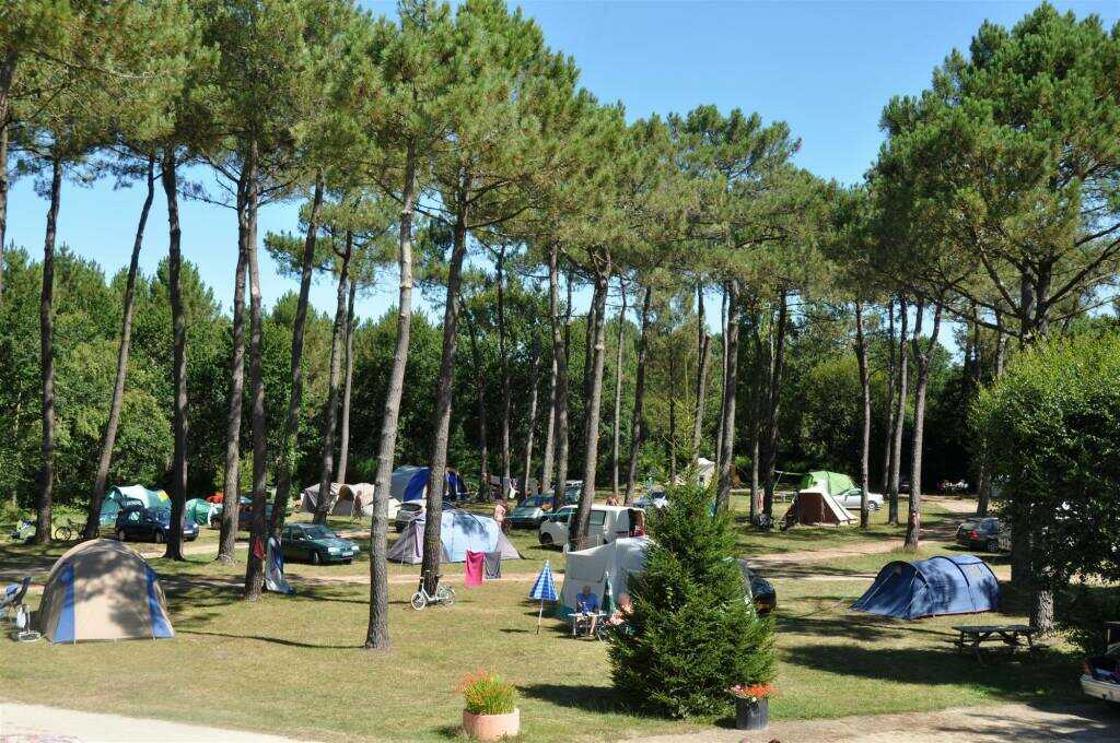 Camping naturiste CNBS la Pinède, réserver camping à Belz | Baie