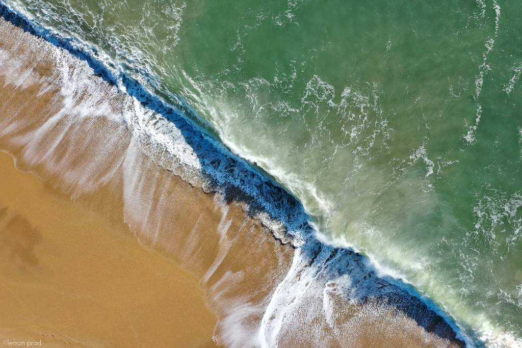 Lemon prod - Communication audiovisuelle Commerces et services | Baie